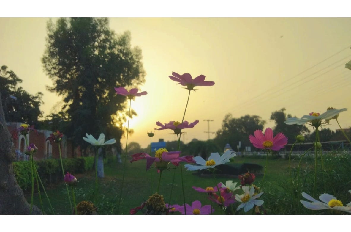 PHOTO JOURNAL ; Capturing moments | by Noor ul Eman | Medium
