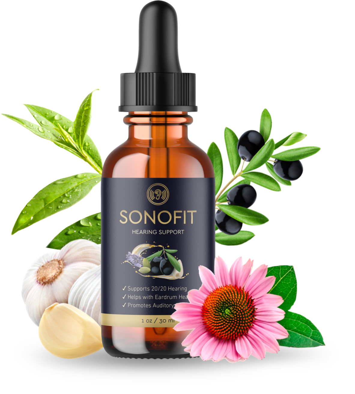 Sonofit Review #2024|The Power of “Sonofit: A Best Guide For User | by ...