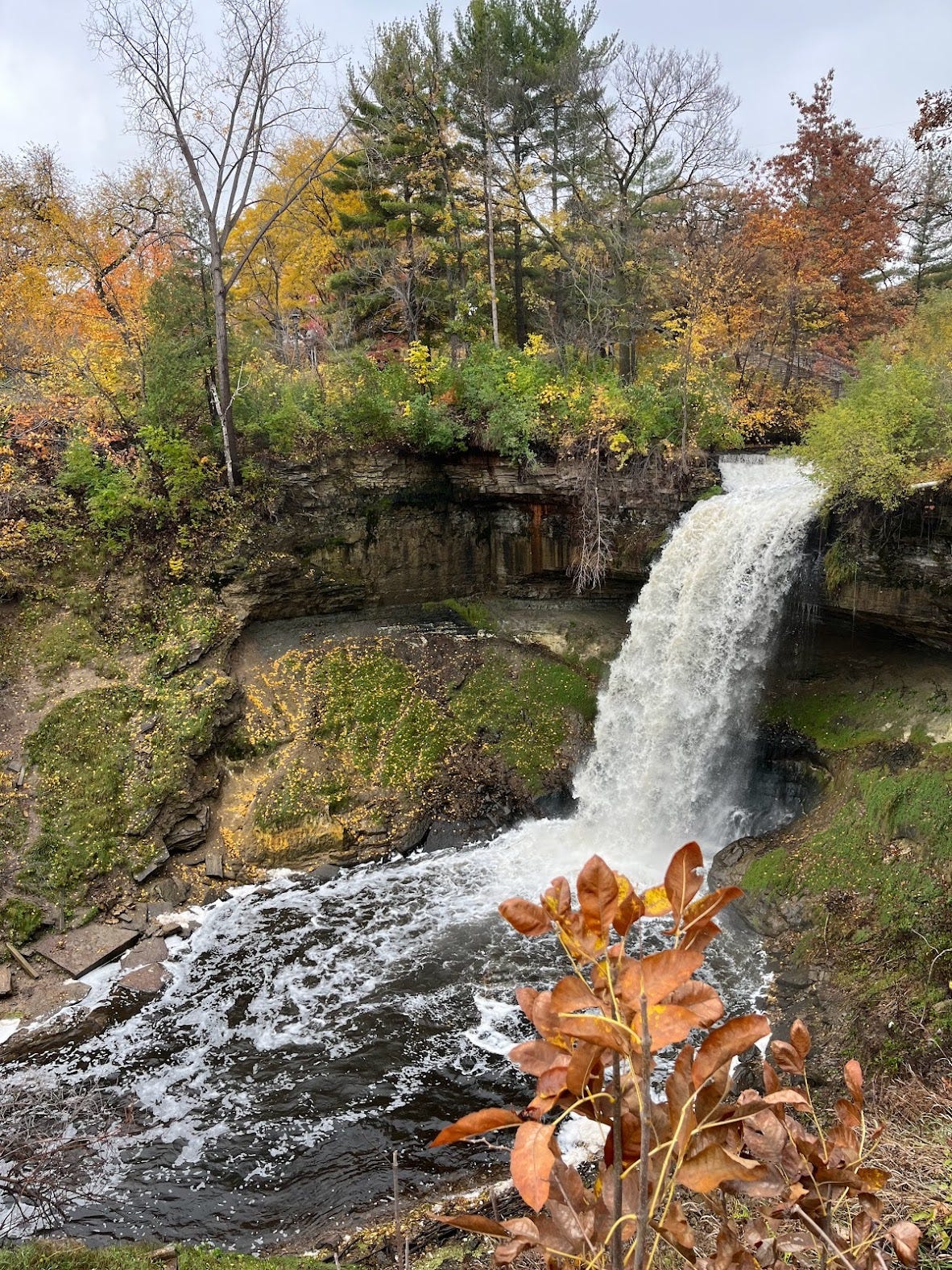 2023 in Thirteen Photos. Beside the river, through the woods… | by ...