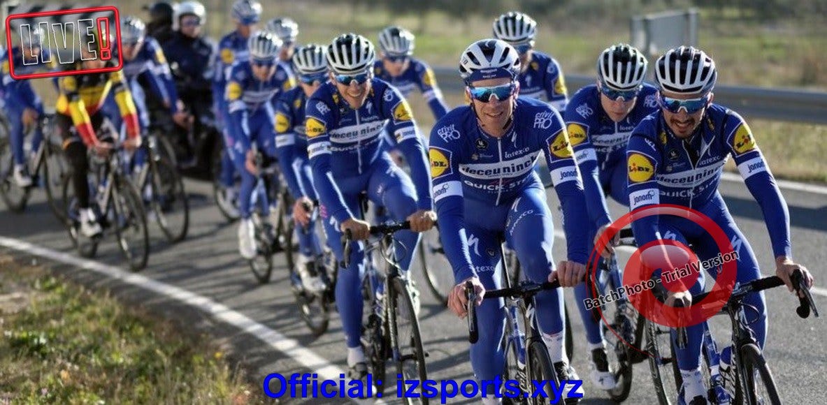 STREAM!! 2020 Le Samyn [LiveStream]#2020 | by Alyson | Medium