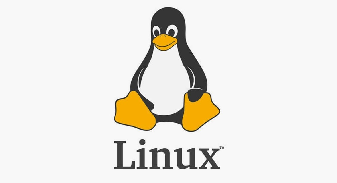 Commands you need to know for Linux | by Hasan Kaya | Nov, 2024 | Medium