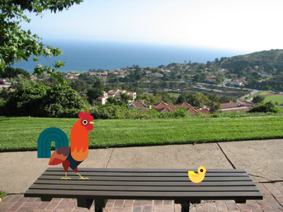 Cracking the code to success. Scratch program gives special ed… | by ...