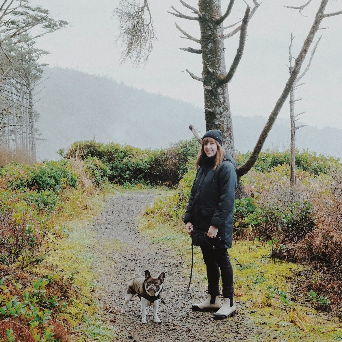 5 Things about Kim Daley. We’re thrilled to introduce Kim Daley… | by ...