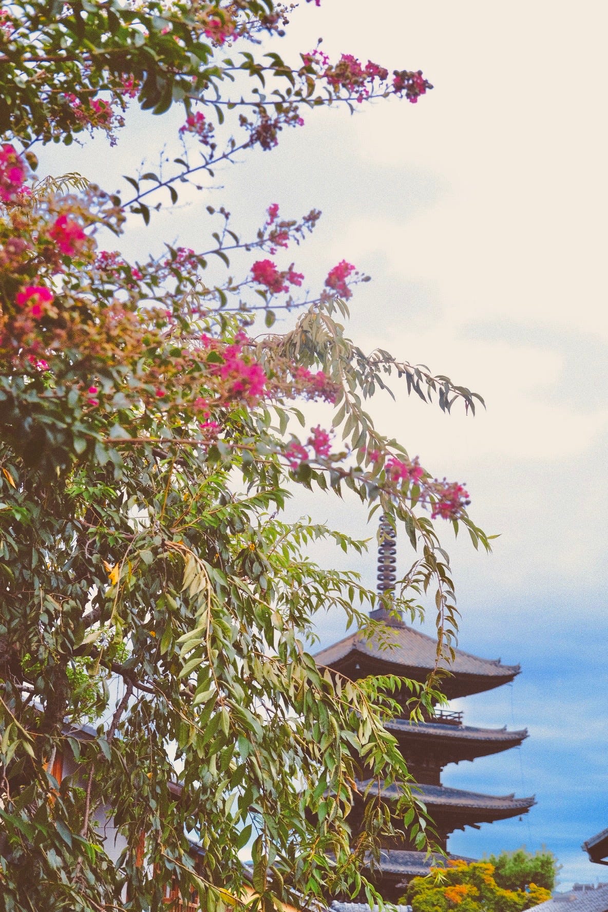 A Winter’s Day In Kyoto, Inspired By the Essence of Spring | by Vincent ...