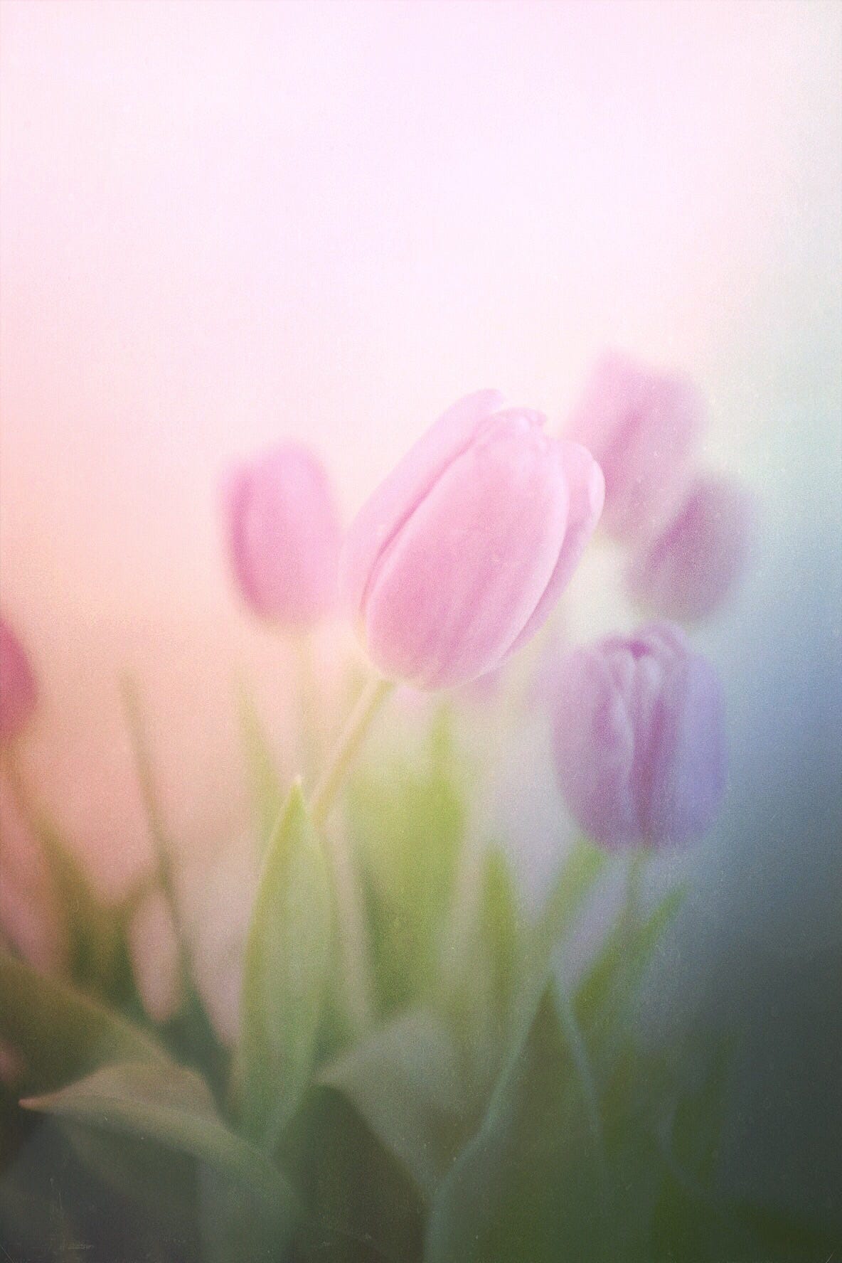 Tears slowly falling upon my cheeks albeit the sadness does not ensue ...