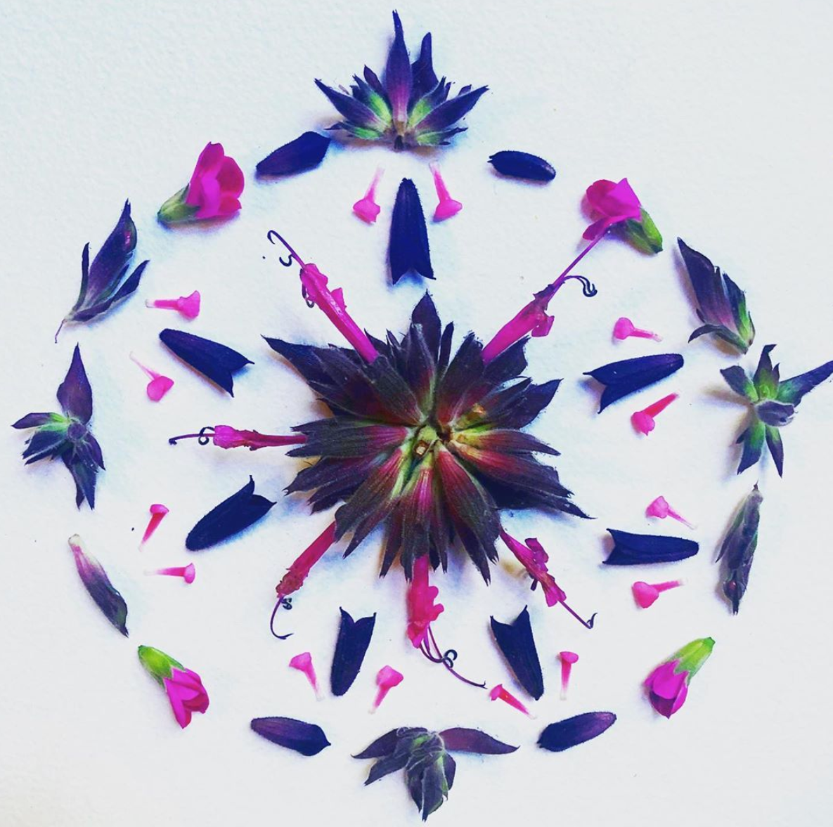 Creative Reuse Pattern One: Finding new uses for things we have access ...