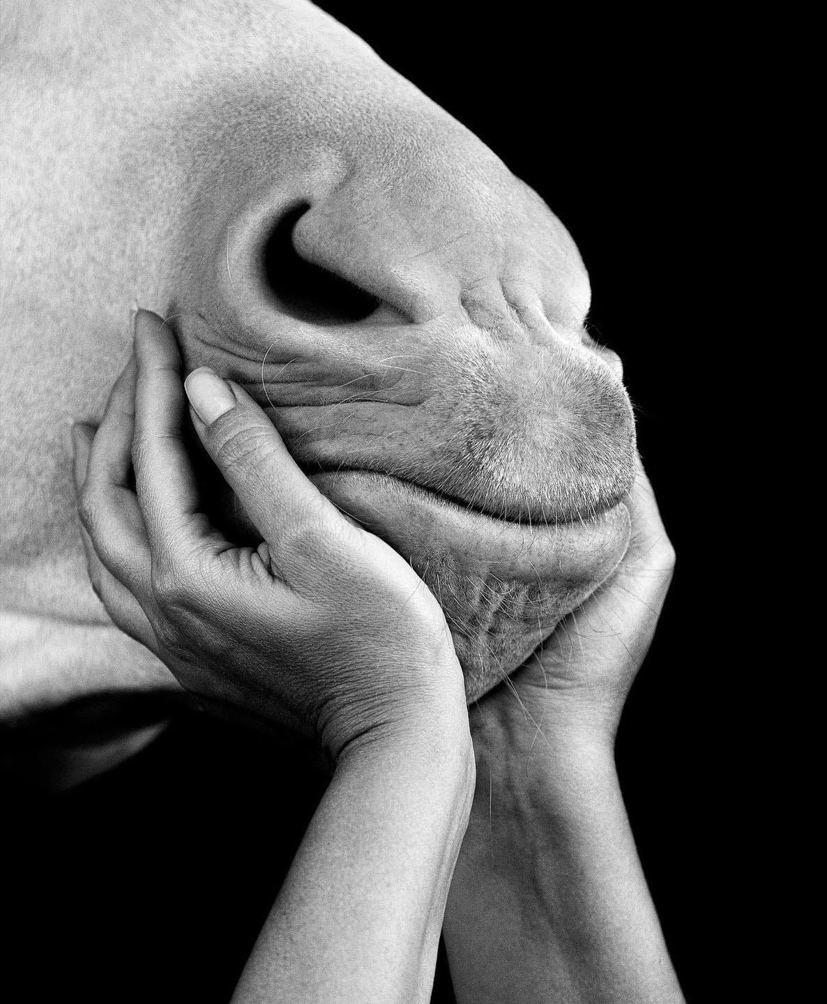 #冷知識【情緒的名字：10個平時難以言喻的「微妙情緒詞」】｜RULES CREATIVE | by RULES CREATIVE/吾則創意 | Medium