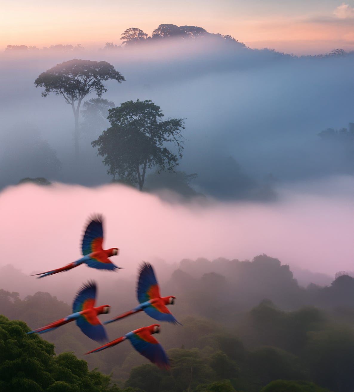 The sound of here. It’s raining now. The jungle hums and… | by Katja ...