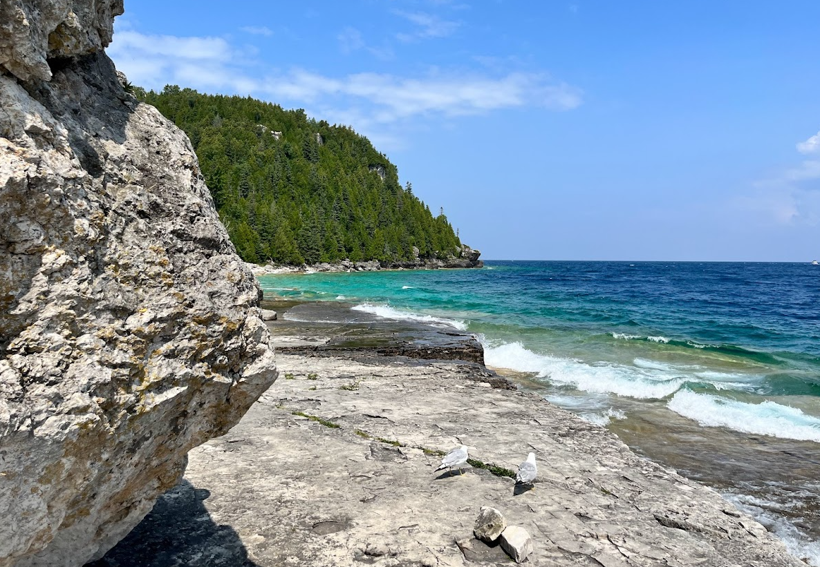 React — Detect hidden elements using IntersectionObserver API. | by Hoang Ha | Stackademic