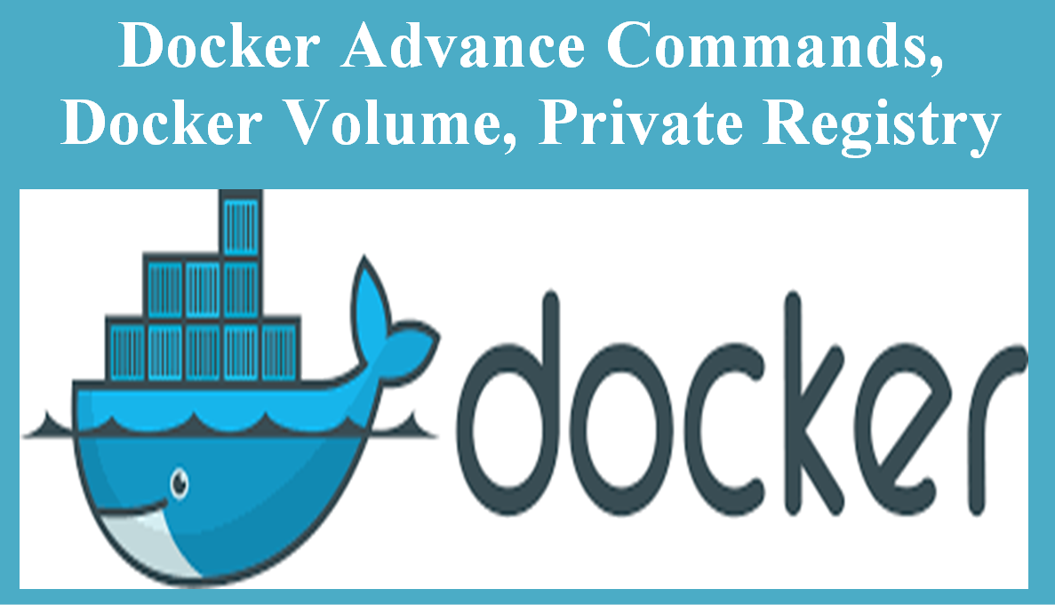 Mastering Docker: Advanced Commands, Docker Volume Management, and Private Registry Integration ...