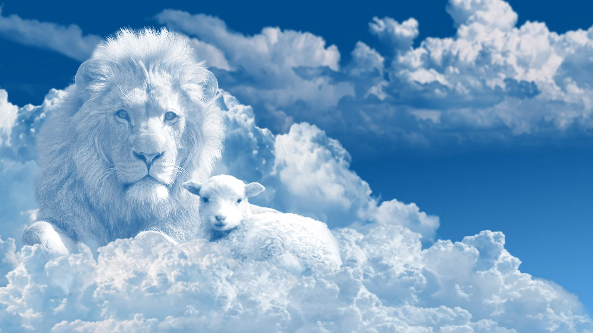 God Complex vs. Imposter Syndrome | by Oz | Life & Art | Medium