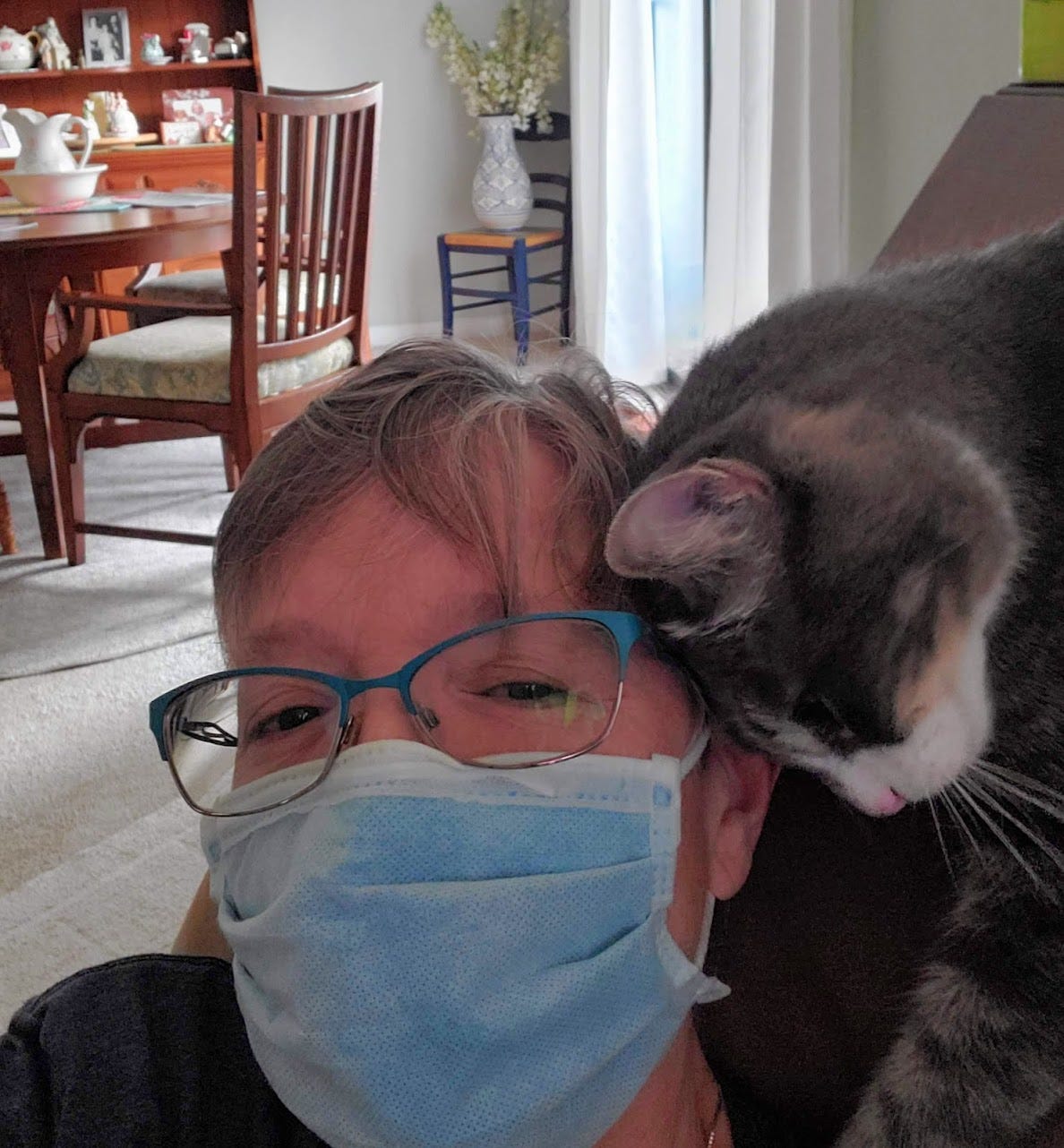 One Cat, Three Neighbors. March Six Word Photo Story Challenge… | by ...