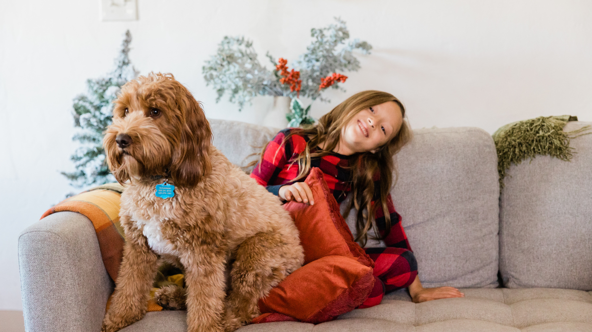 Do Dogs Have a Sixth Sense? Unveiling the Canine Mysteries | Medium