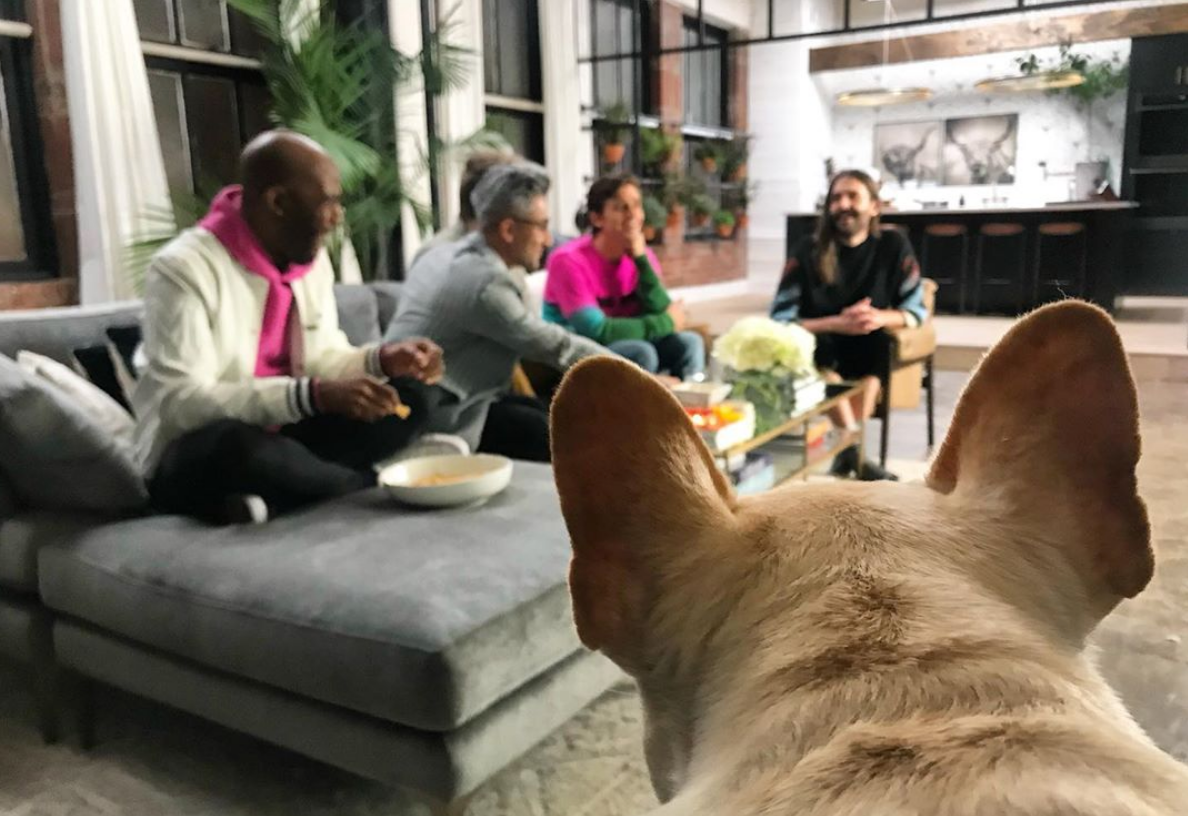 Bruley the Frenchie from Queer Eye Died Today. My Heart is Broken. | by ...