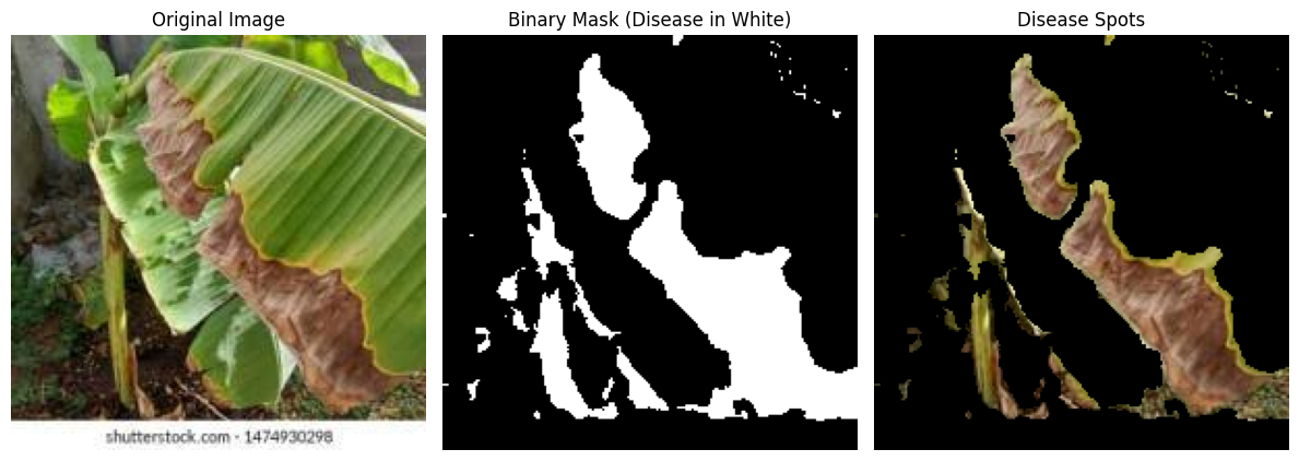 Image Segmentation for Banana Leaf Disease Detection: A Python Implementation Guide | by Mayank ...