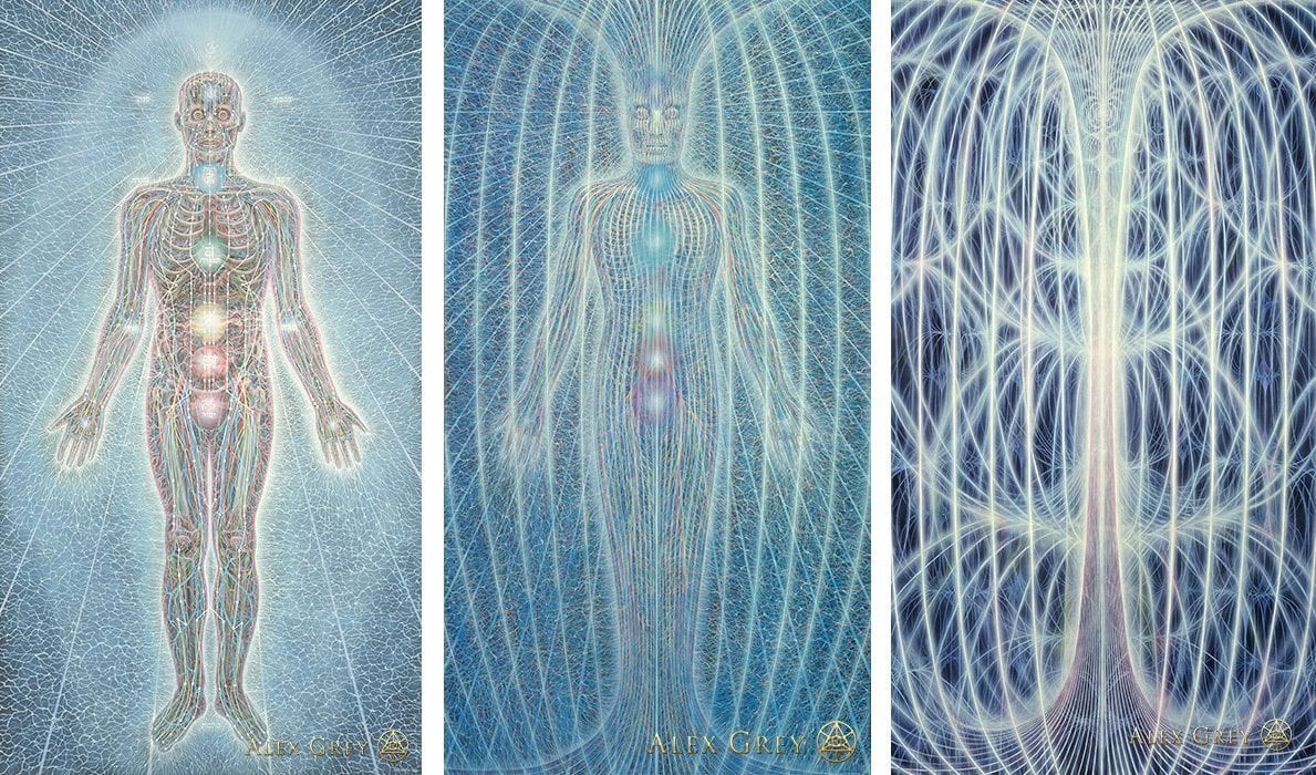 Human Mirroring. How Mind Heals Itself | by Ronin Yogi | Medium