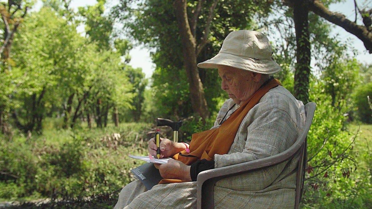 Building with the Rhythm of Nature: A Tribute to Didi Contractor | by ...