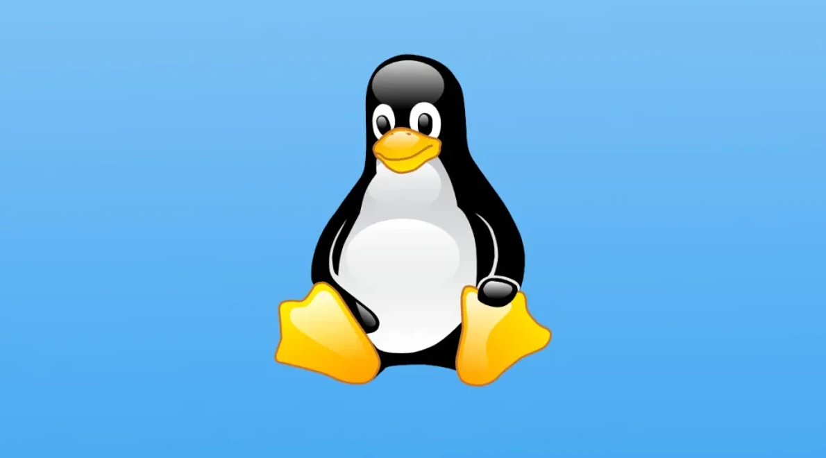 Linux Flaw Enables Local Root Access on Distributions Since 2017 | by ...