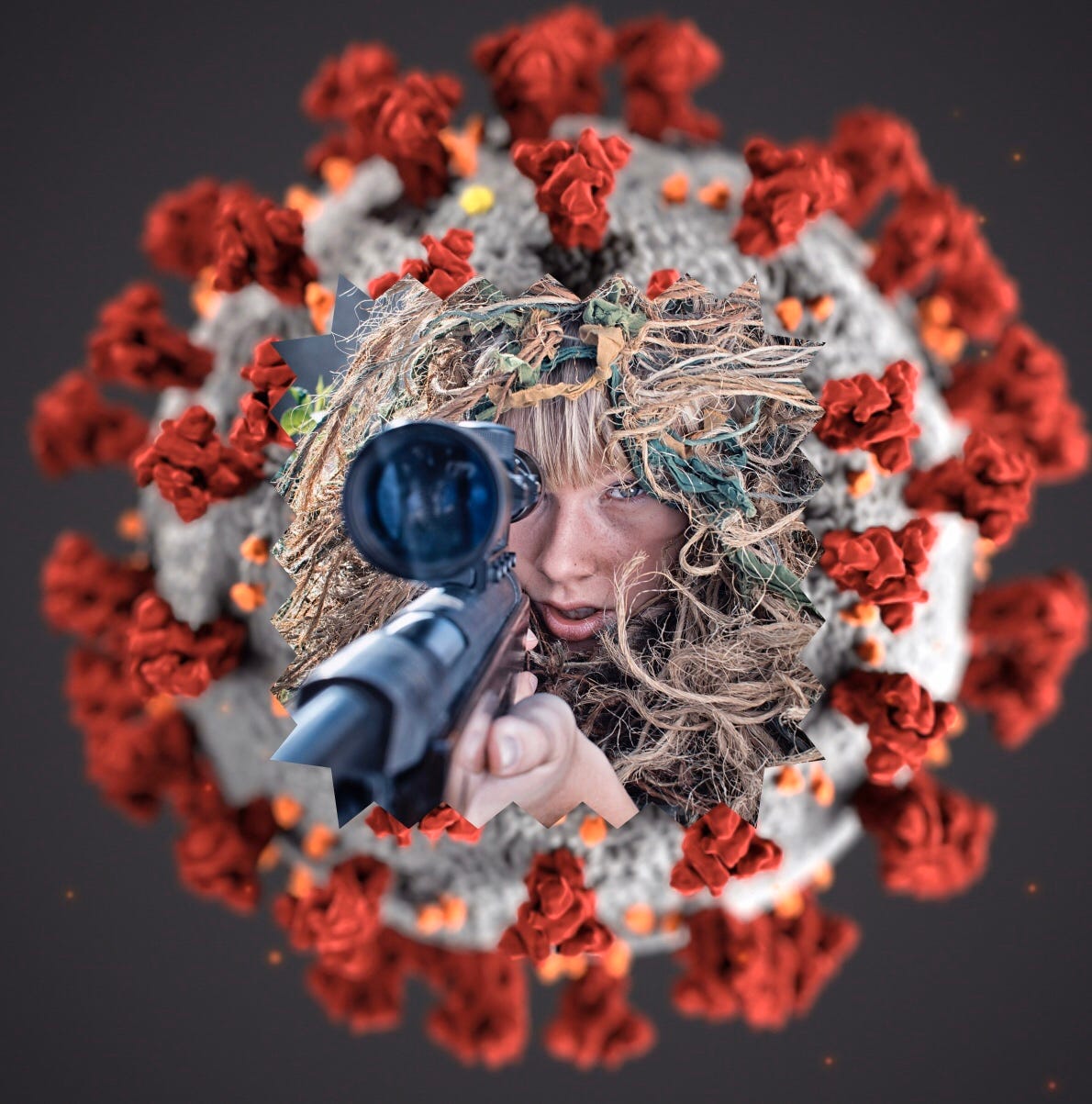 Wars, Guns and Viruses. In 2008, the legendary Sir Paul Collier… | by ...
