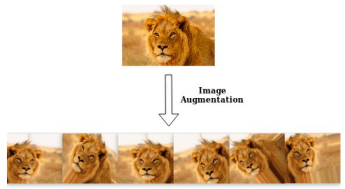 What is Data Augmentation in Deep Learning? 🤔 | by Yash Wasalwar ...