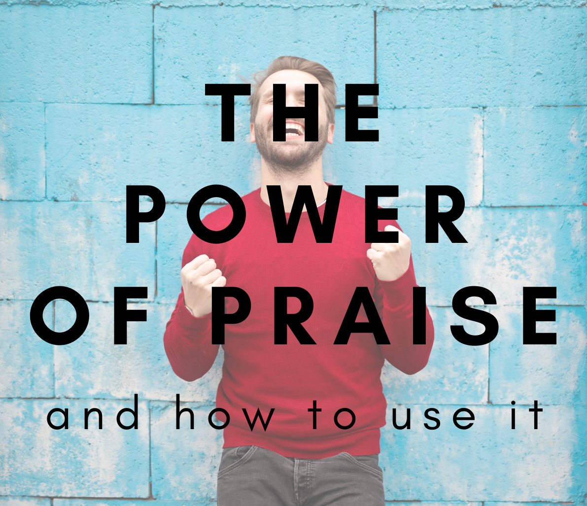 The Power of Praise. All too often people confuse praise and… | by ...