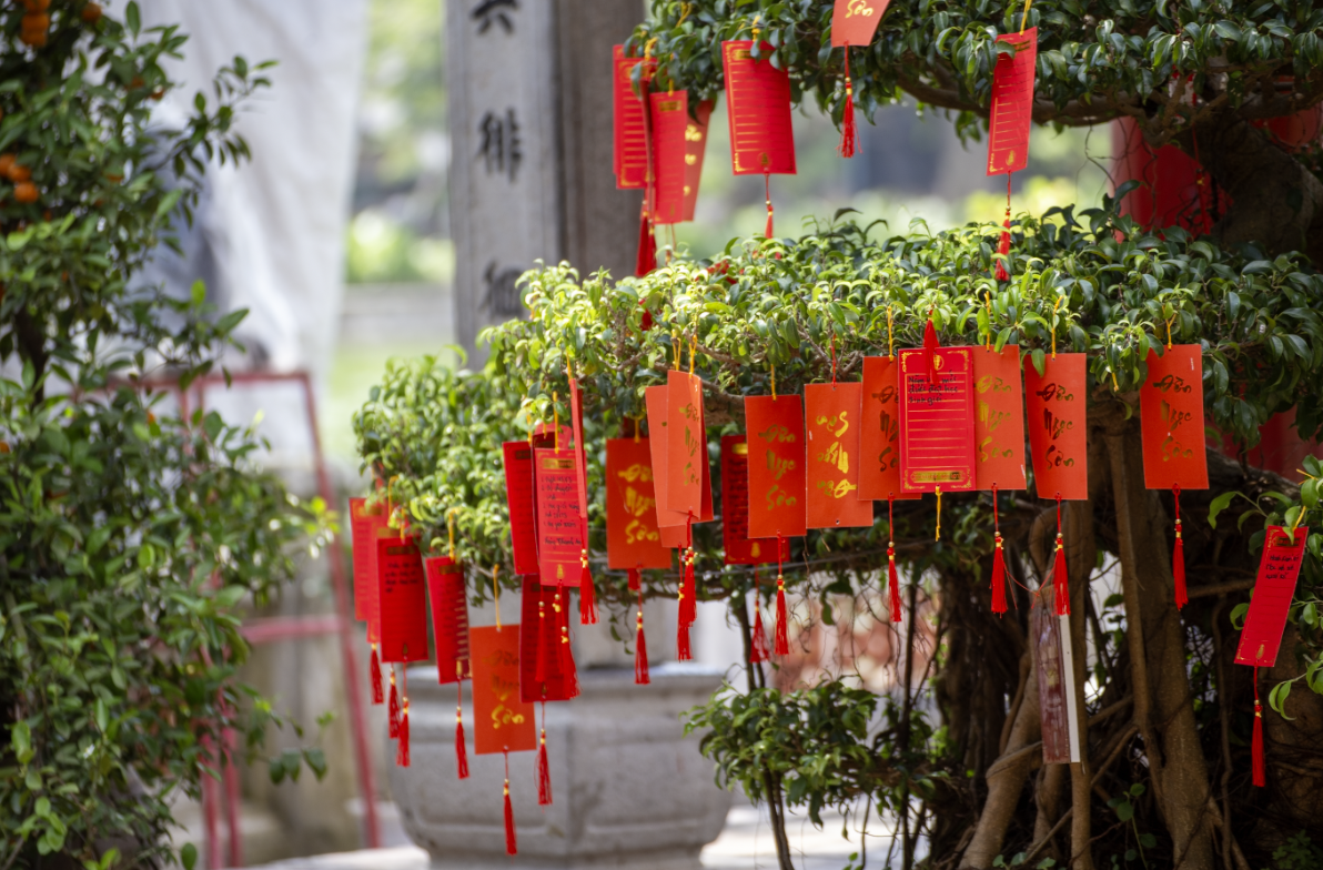 NDJson and IAsyncEnumerable. This article is a continuation of the… | by Diego Bonura | We-Code ...