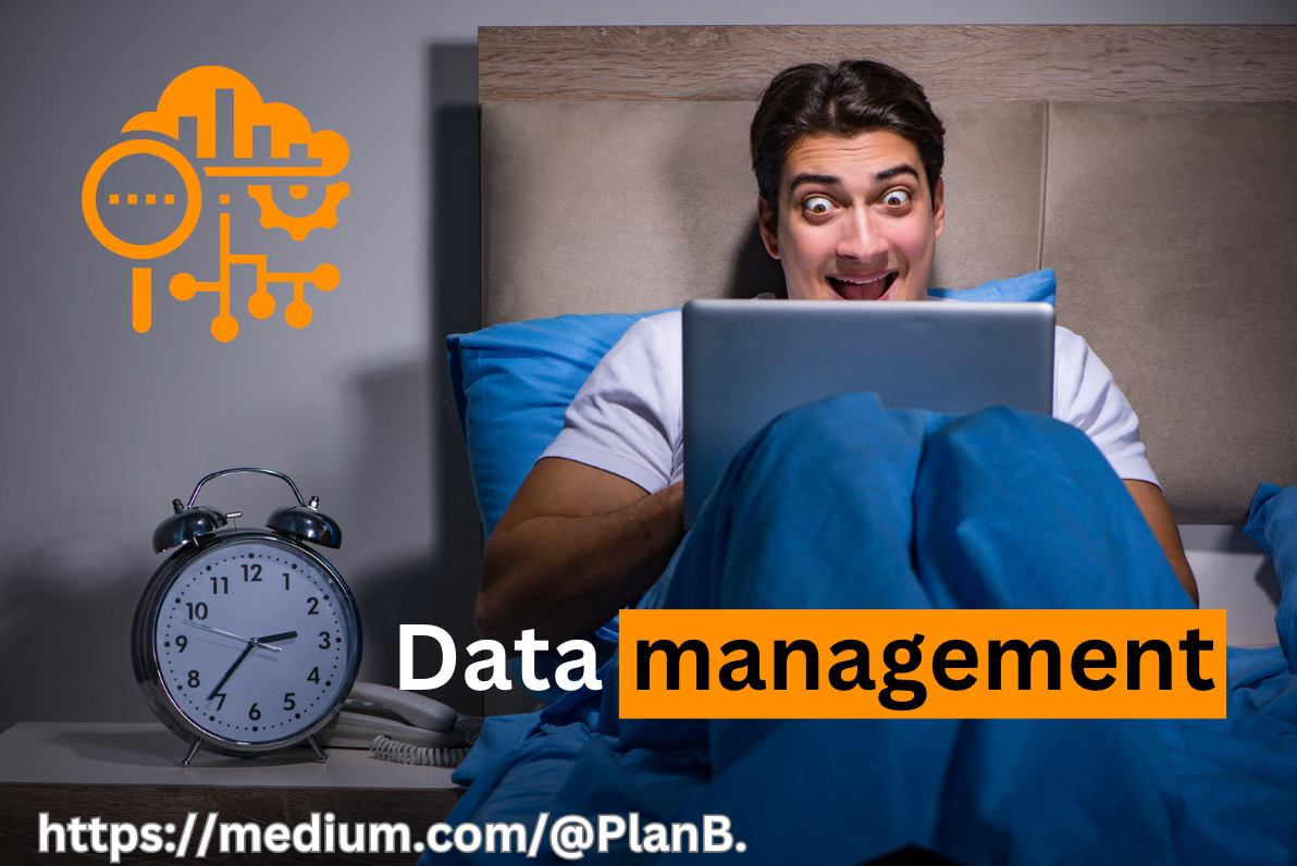 A Deep Dive into How People Sort and Store Their Pxxn Collections ...
