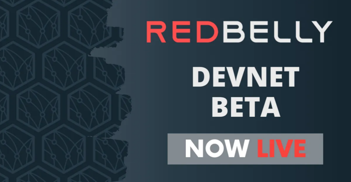 Redbelly Network Devnet Beta ist LIVE! | by Shelby | Jun, 2023 | Medium