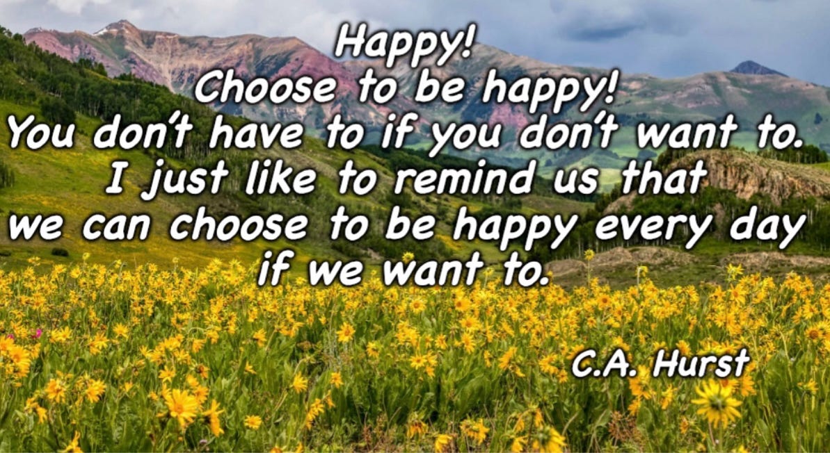 Happy! - C. A. Hurst - Medium
