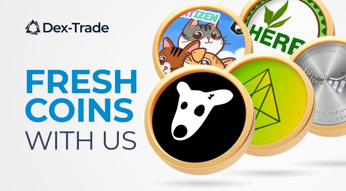 🚀 Fresh Listings on Dex-Trade! 🌟 - Dex-Trade - Medium