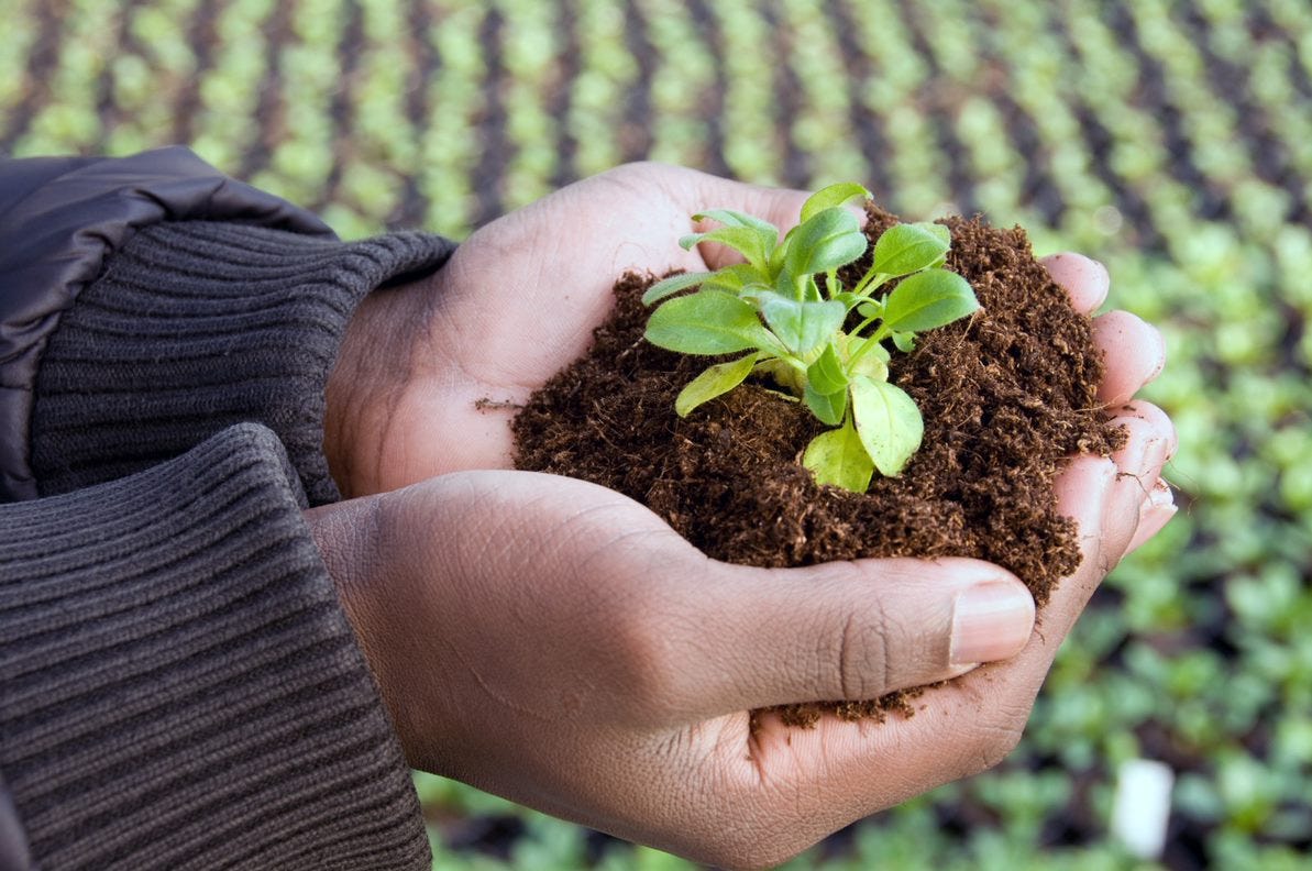 Why social businesses and their customers should look beyond the ‘Buy ...