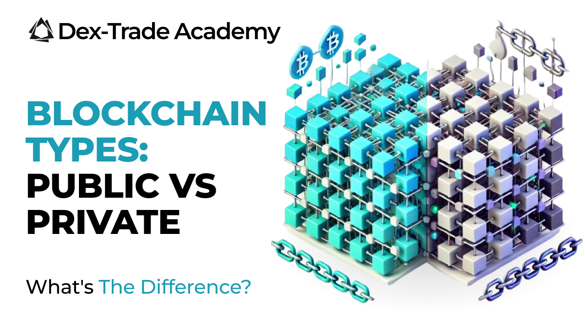 What Is The Difference Between Public And Private Blockchains By Dex Trade Oct 2024 Medium