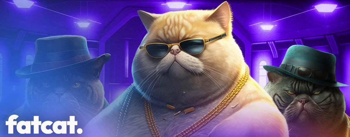 Introducing FATCAT: A Revolutionary Token Combining DeFi & Reflections ...