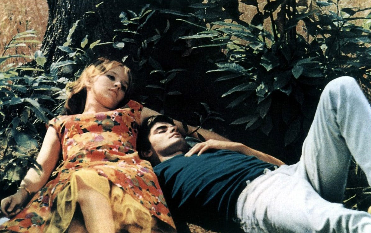 Happiness is a Dream: Le Bonheur, Agnès Varda | by Ceren Doganer | Medium