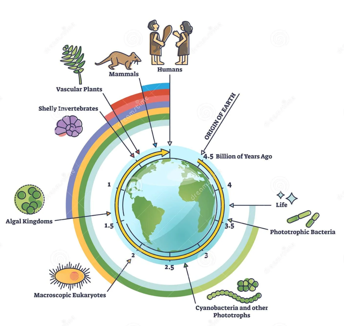 What is Life? (Evolution Series Part I) | by Ashley Heacock | New Earth ...