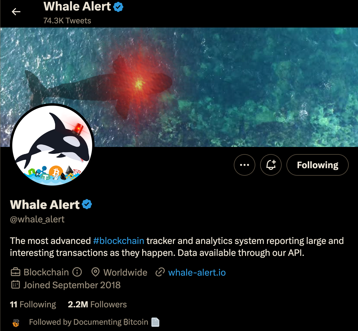 When to Buy or Sell Cryptocurrency? Follow the Whales! | by PH Lee | Jun, 2023 | Medium