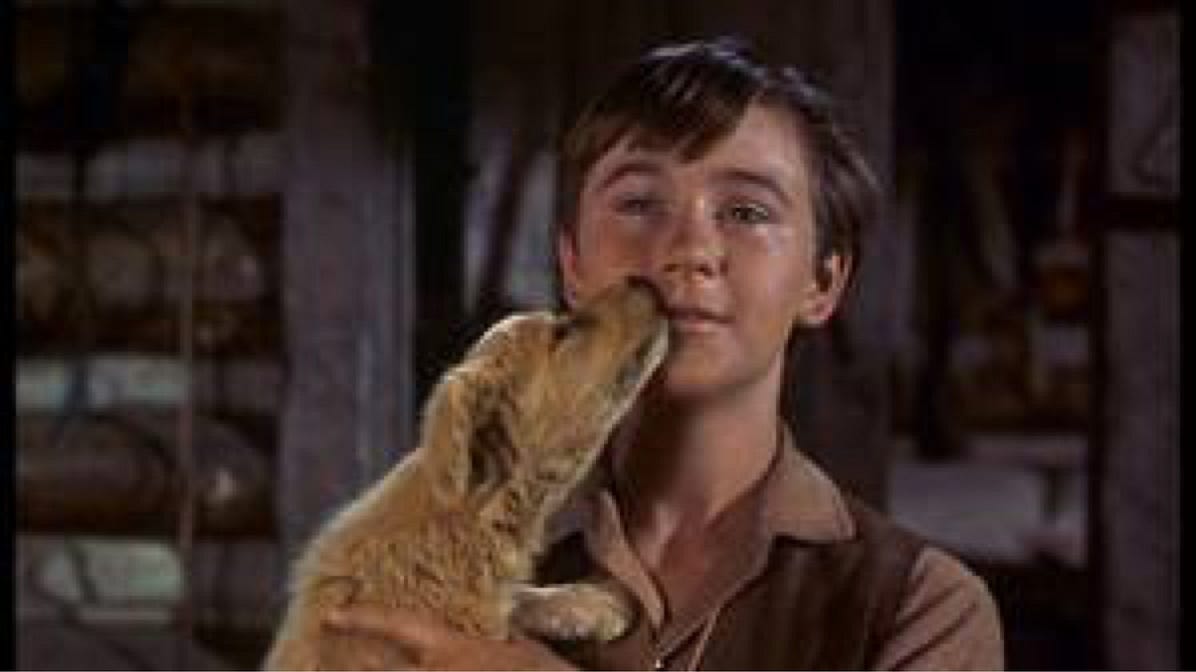 Old Yeller Movie