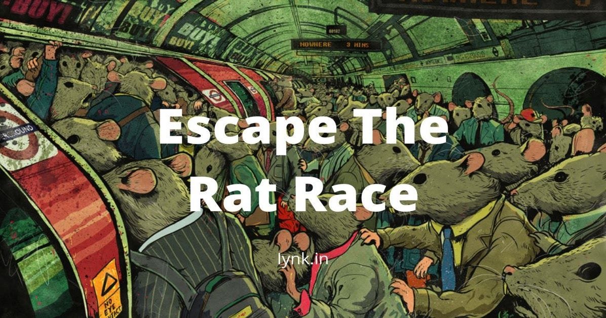 The Rat Race: a modern paradox. State of the art self-improvement… | by ...