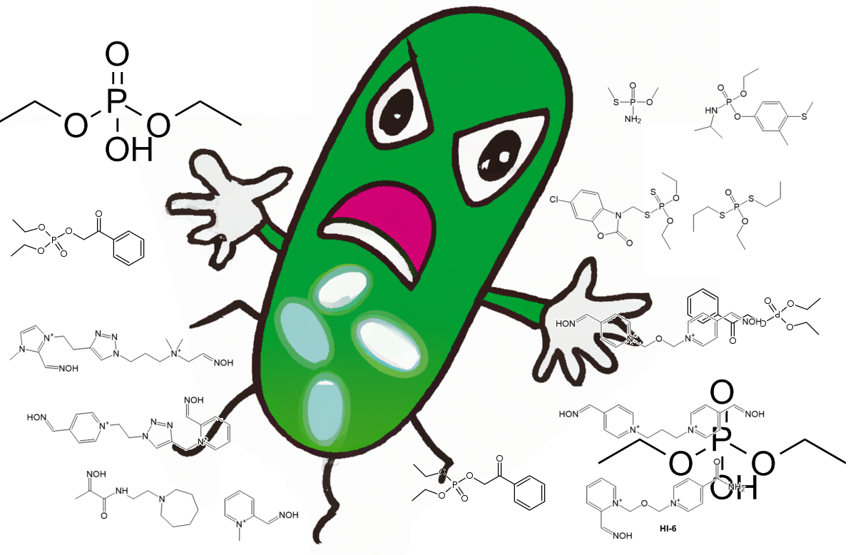Marine bacteria can clean up our garbage by degrading our phosphorous ...