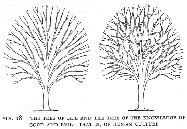 Evolution Tree Art