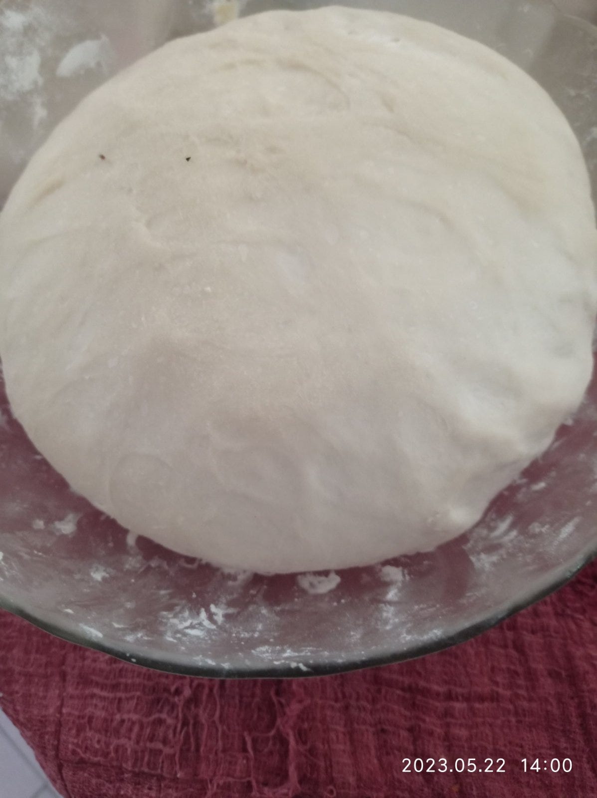 週一水煎包 - Wes Chou (Joe) / 周應偉 - Medium