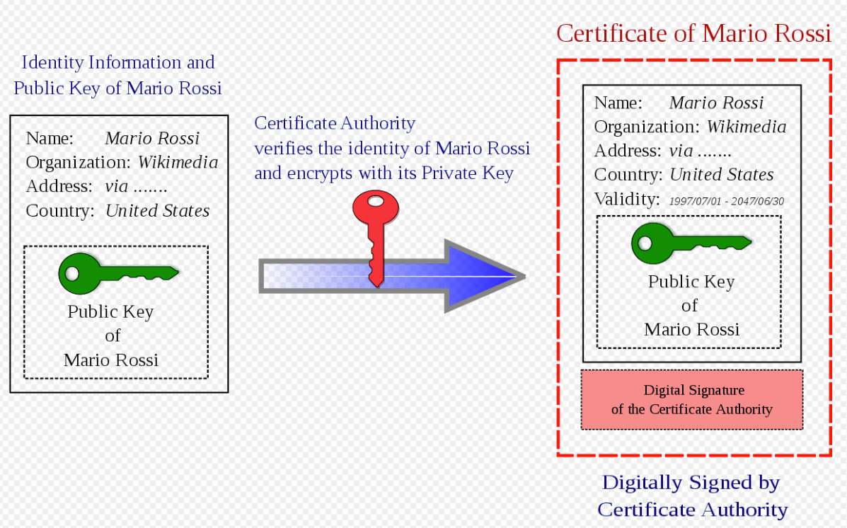 The Role and Importance of Certificate Authorities | by M. Lutfi Fadlan ...
