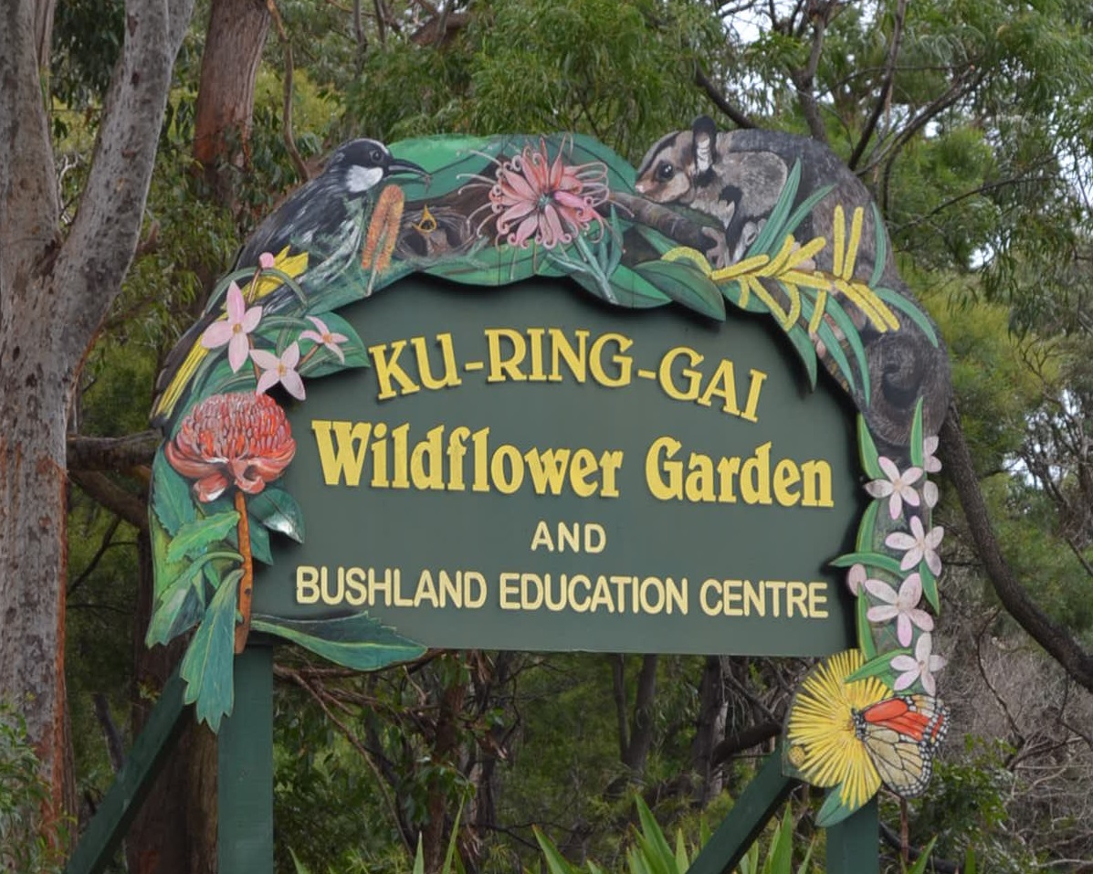 Top 4 Most Beautiful Spring Gardens in Sydney | by Suri Do | Medium