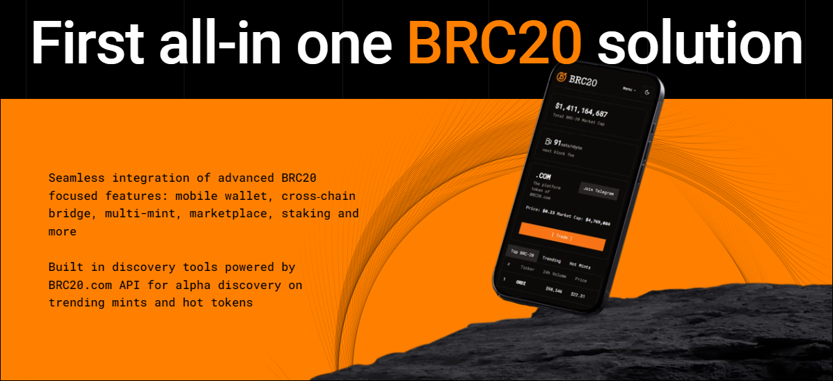 BRC20. Leading infrastructure provider for… | by Aidinarenjun | Jan ...