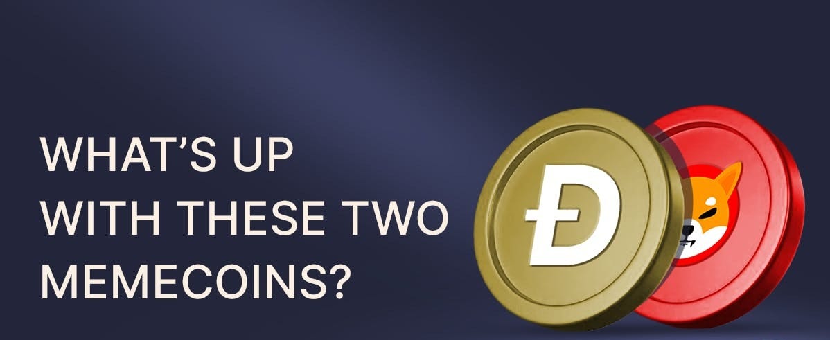 Dogecoin vs. Shiba Inu: Which Meme Coin Will Dominate 2024? | by Will Martin | Jul, 2024 | Medium
