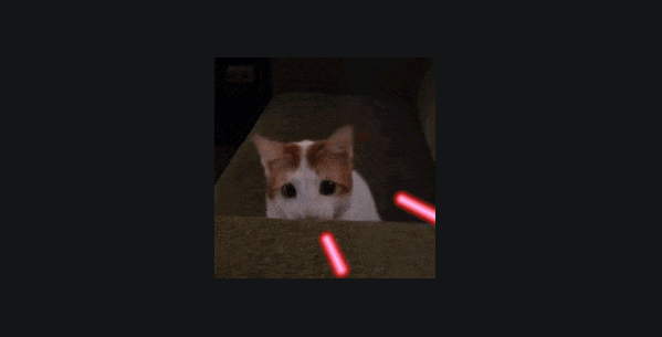Dogs With Lightsabers Gif