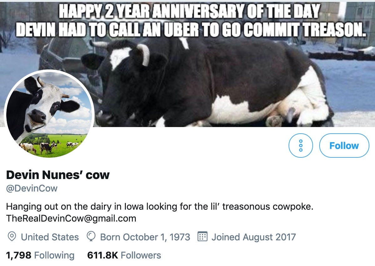 The politician, his cow and his mother: some thoughts on freedom of ...