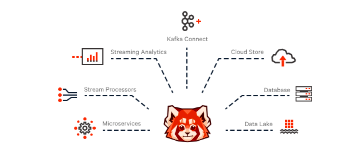 How Redpanda is Taking Data Streaming Mainstream | by Lightspeed | Lightspeed Venture Partners ...