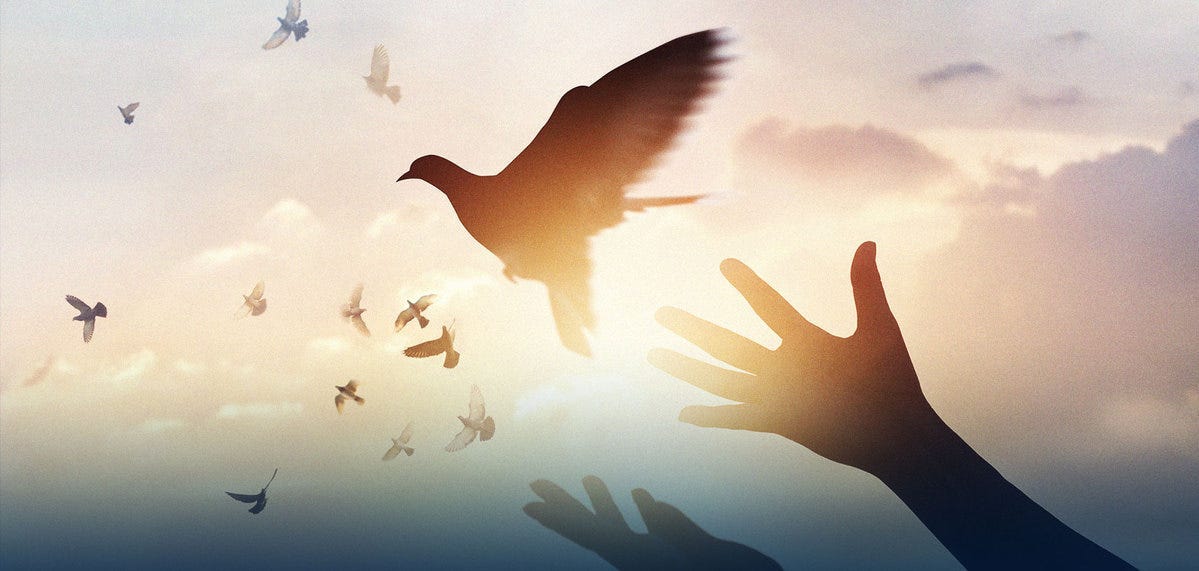 Life after death a relief for a mediocre life | by The watcher | Medium