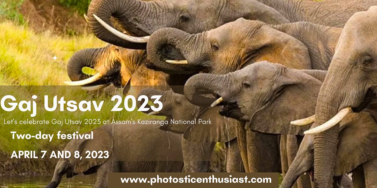 Kaziranga National Park to Host Gaj Utsav 2023 | by Photosticenthusiast ...